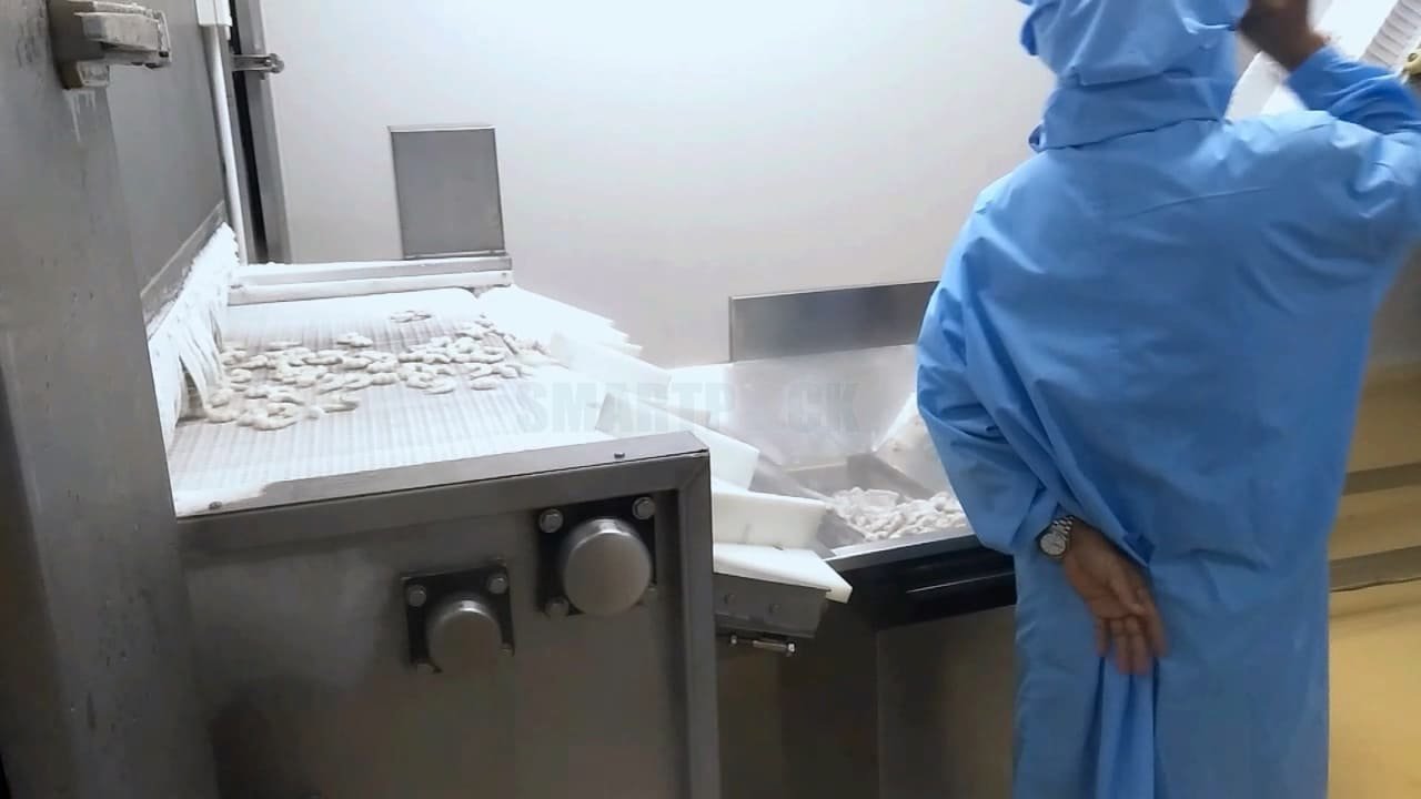 How Smartpack Overcomes Challenges in Frozen Food Packaging Machine?