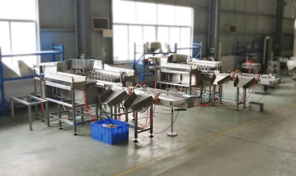 Fish Fillet Packaging Machine